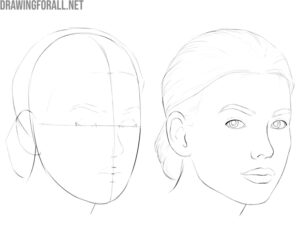 Lesson 1: Drawing Basics - Drawingforall.net